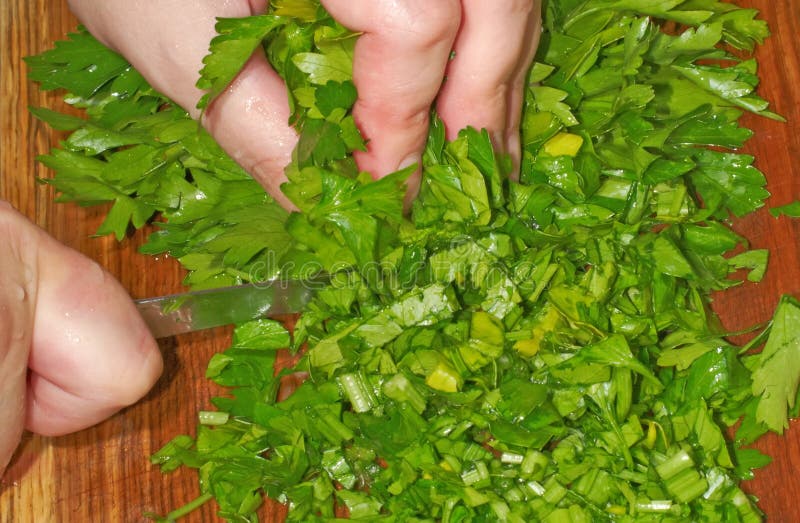 The cut parsley stock photo. Image of healthy, kitchen - 11868684