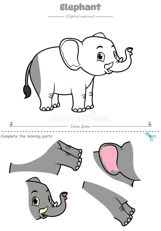 Elephant Cut Diagram Stock Illustrations – 124 Elephant Cut Diagram ...