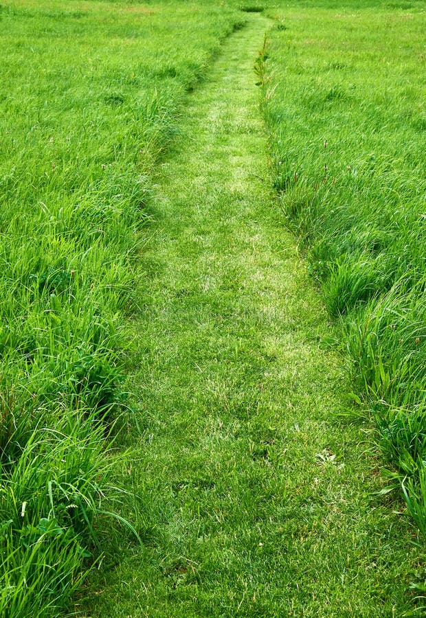 Cut the grass on the track stock photo. Image of equipment - 27701958