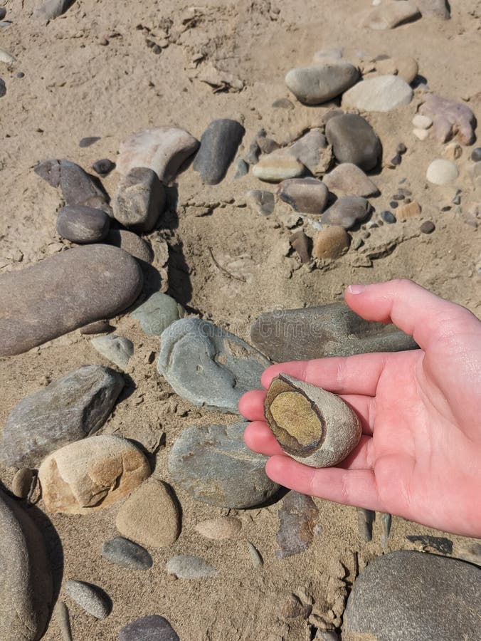 A Cut of Pebbles, a Stone with Different Layers of Minerals in the ...