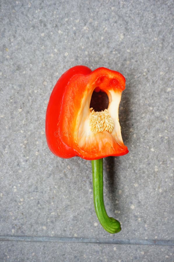 Cut pepper stock photo. Image of food, vegetable, pepper - 48717812
