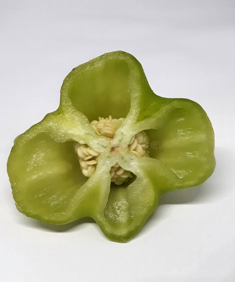 Cambuci Pepper or Bishops Hat Stock Image - Image of pepper, cambuci ...