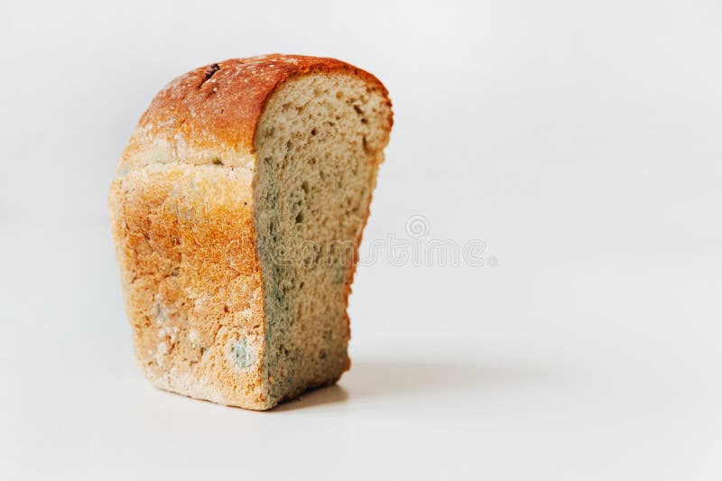 Cut Piece of Spoiled Wheat Bread with Mold Isolated on a White ...