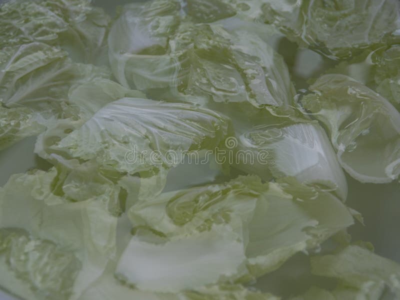 Pieces of White Cabbage Soaked in Water Stock Photo - Image of chinese ...
