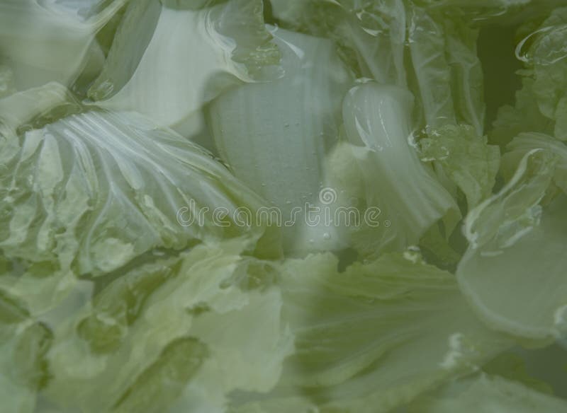 Pieces of White Cabbage Soaked in Water Stock Image - Image of soak ...