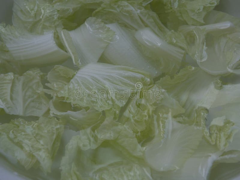 Cut into Pieces White Cabbage Soaked in Water Stock Photo - Image of ...