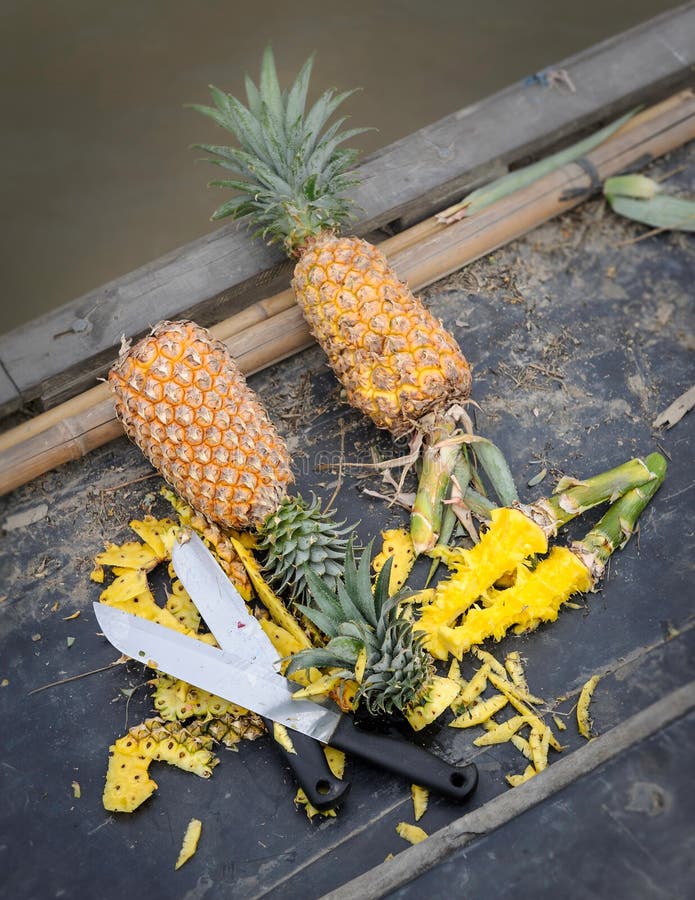 Pineapple Being Cleaned and Washed in a Kitchen Sink. Wash Food. Child ...