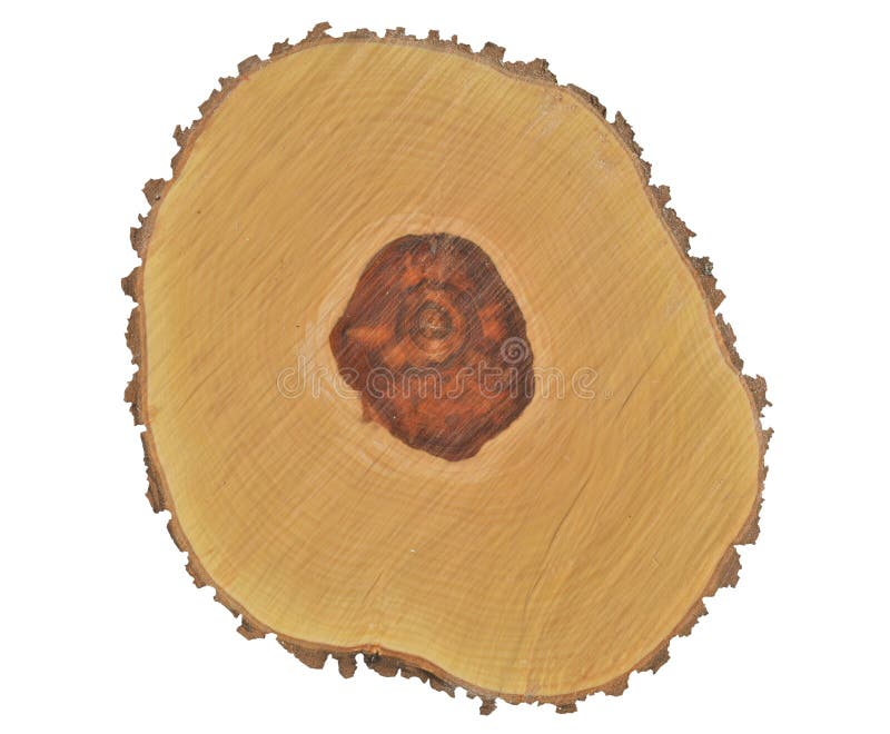 200 Plum Tree Log Stock Photos - Free & Royalty-Free Stock Photos from ...