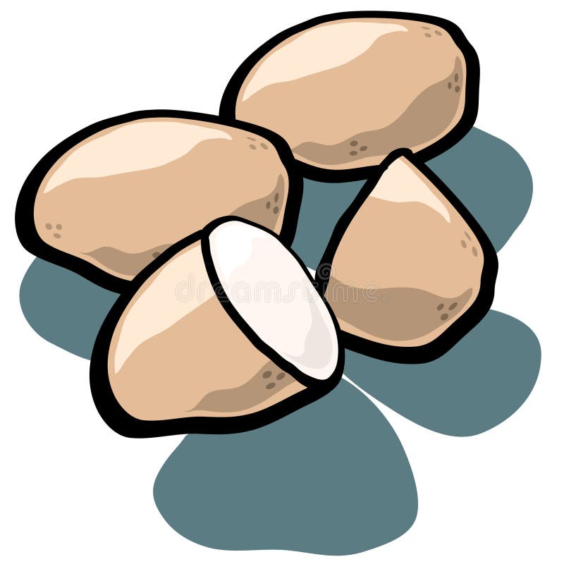 Cut Potatoes stock vector. Illustration of slice, cream - 49978649