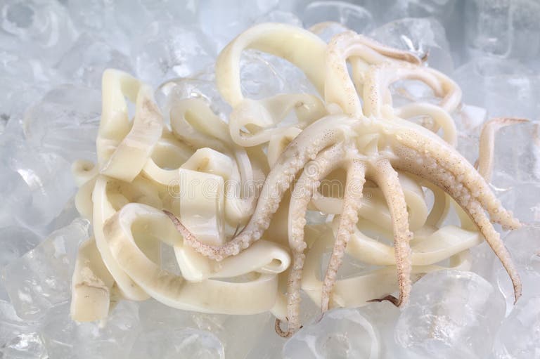 9,418 Raw Calamari Stock Photos - Free & Royalty-Free Stock Photos from ...