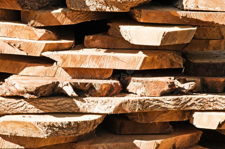 Cut Raw Timber Wood Logs stock photo. Image of materials - 22801422