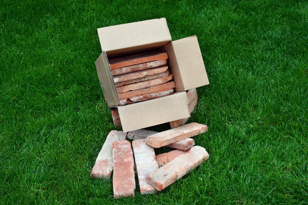 Cut Red Bricks Range in Cardboard Box Stock Photo - Image of cardboard ...