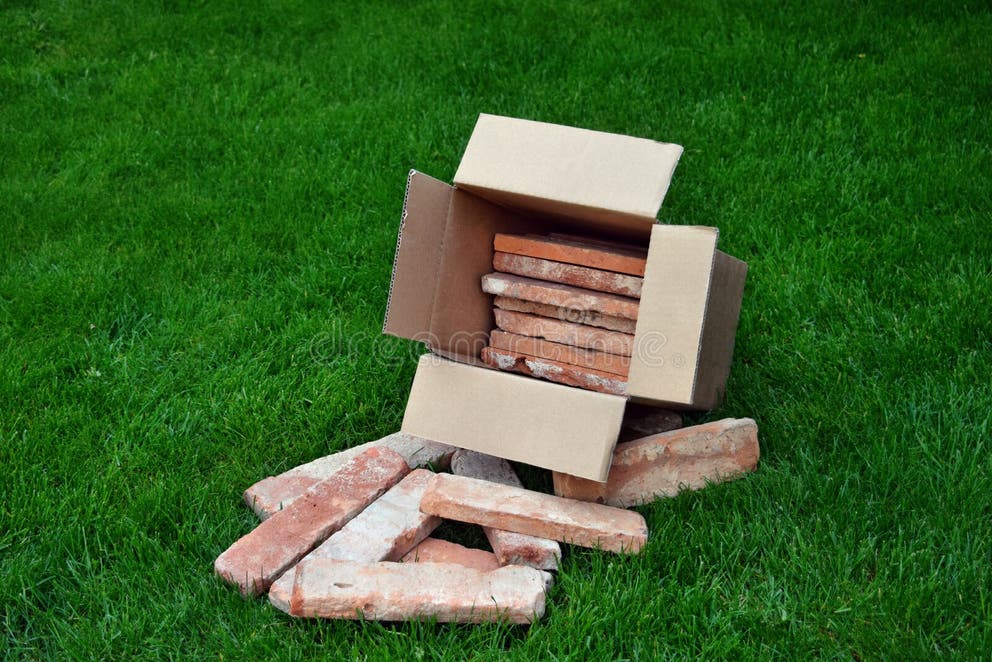 Cut Red Bricks Range in Cardboard Box Stock Image - Image of cardboard ...