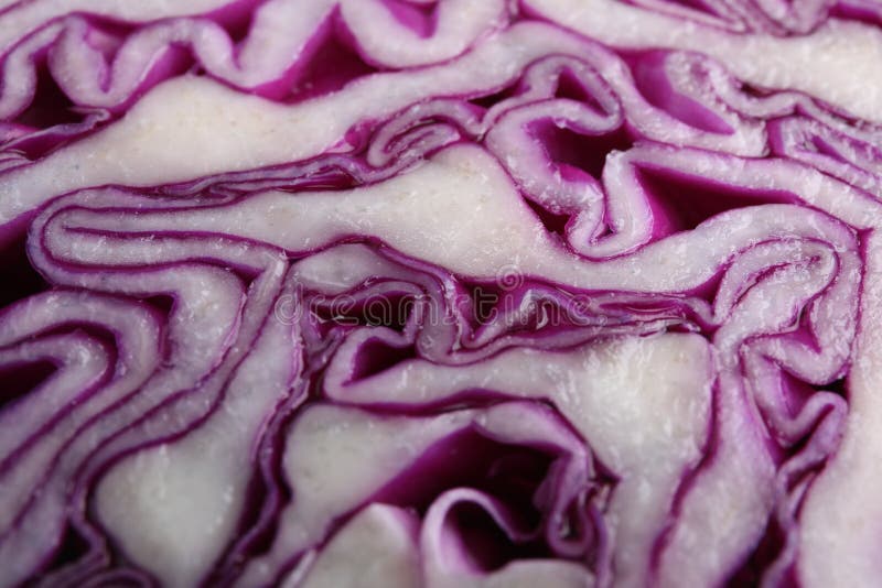 Cut Red Cabbage As Background, Closeup Stock Image - Image of grocery ...