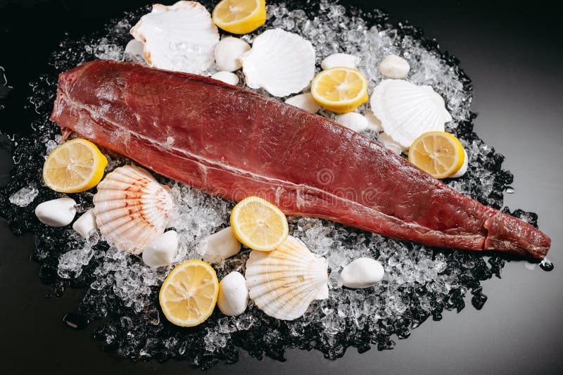 Cut Red Fish Fillet with Lemon, Shells and Pebbles on Ice Stock Photo ...