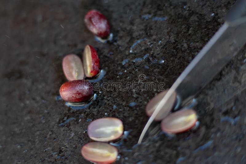 Cut Red Grapes on a Black Background Stock Image - Image of healthy ...