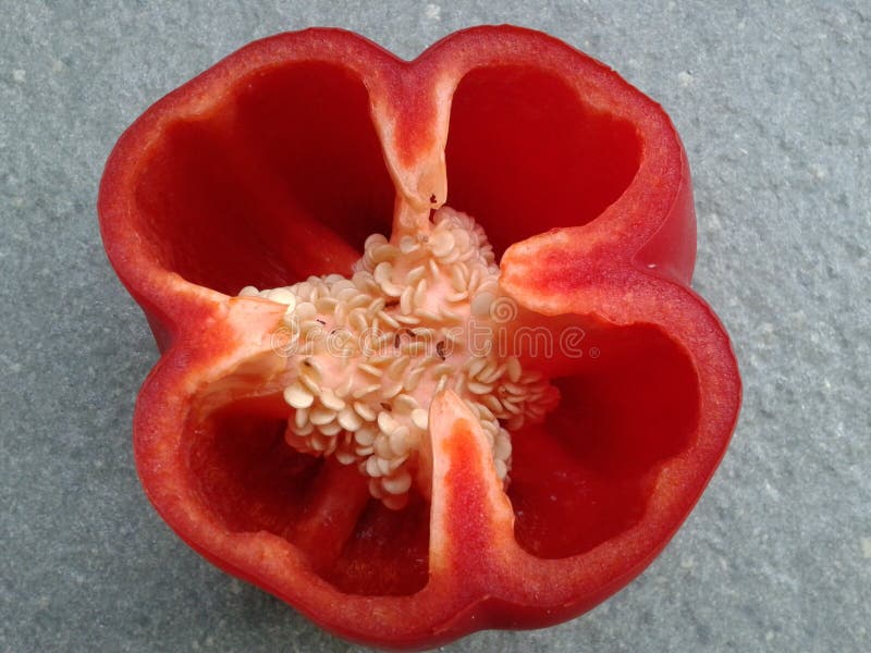 Cut red pepper stock image. Image of napkins, seeds, pepper - 43058689