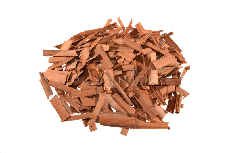 Cut Reed Leaves Isolated on White Background Stock Photo - Image of ...