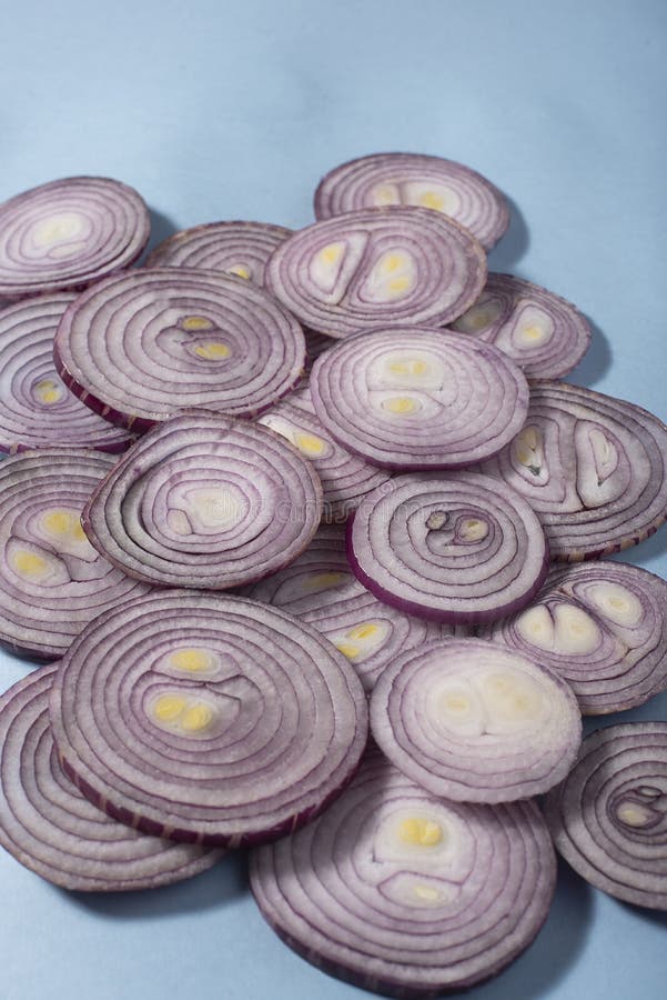 Blue Bow Onion Cut Stock Photos - Free & Royalty-Free Stock Photos from ...