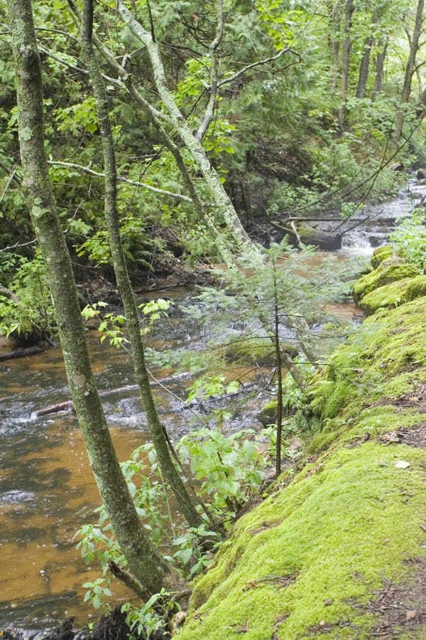 View of Cut River Valley, Upper Peninsula, Michigan Stock Photo - Image ...
