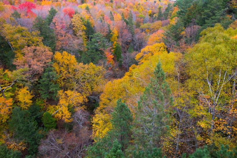 Cut River Valley, Upper Peninsula, Michigan in Autumn Stock Image ...