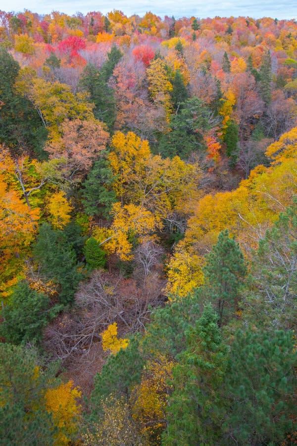 Cut River Valley, Upper Peninsula, Michigan in Autumn Stock Image ...