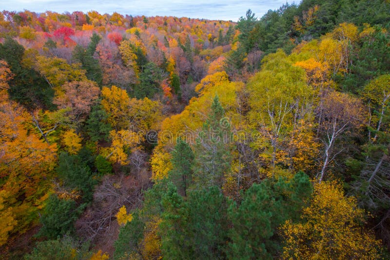 Cut River Valley, Upper Peninsula, Michigan in Autumn Stock Image ...