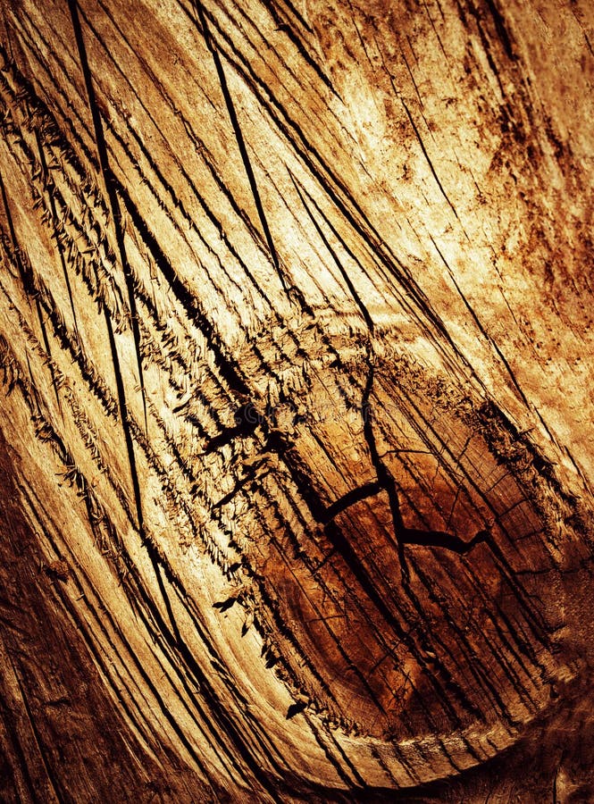 Cut scratched wood stock photo. Image of tree, natural - 111909210