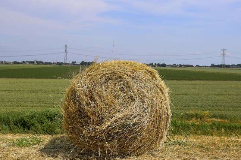 Cut Sides of Road Like Hay in a Roll Stock Image - Image of stack, crop ...