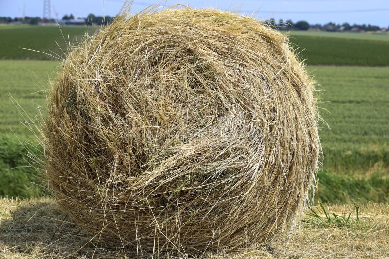 Cut Sides of Road Like Hay in a Roll Stock Image - Image of pile ...