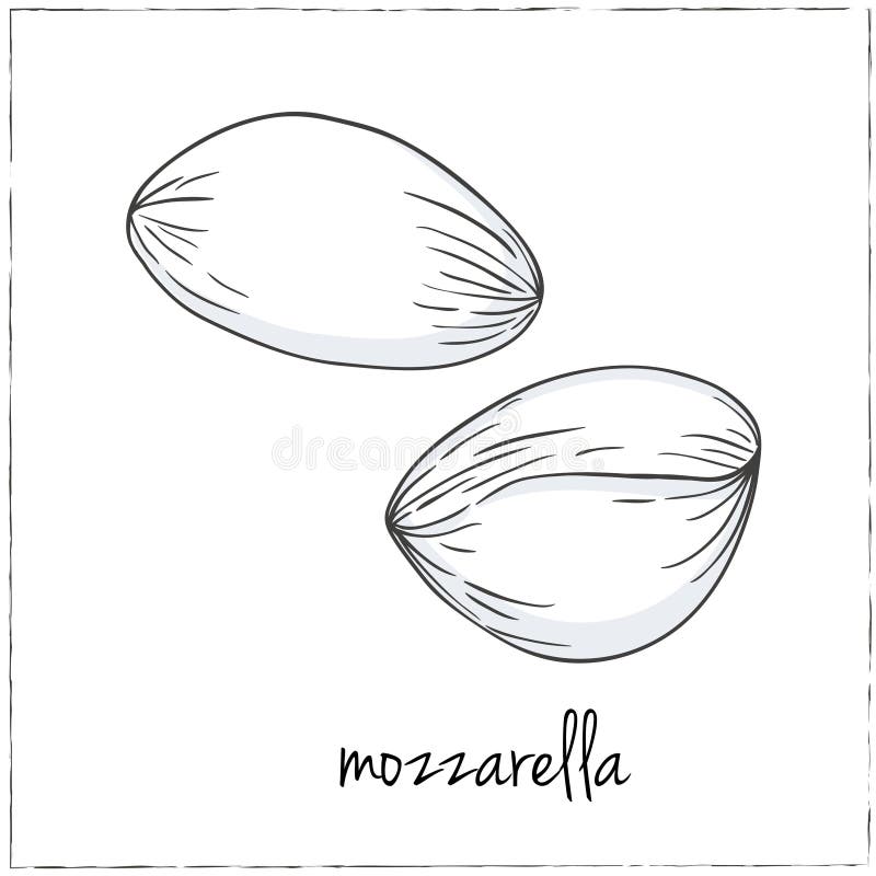 Cut Sliced Cheese Assortment. Vector Illustration Stock Vector ...