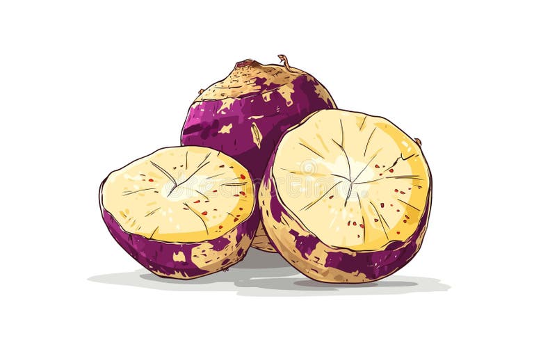 Cut Taro Stock Illustrations – 185 Cut Taro Stock Illustrations ...