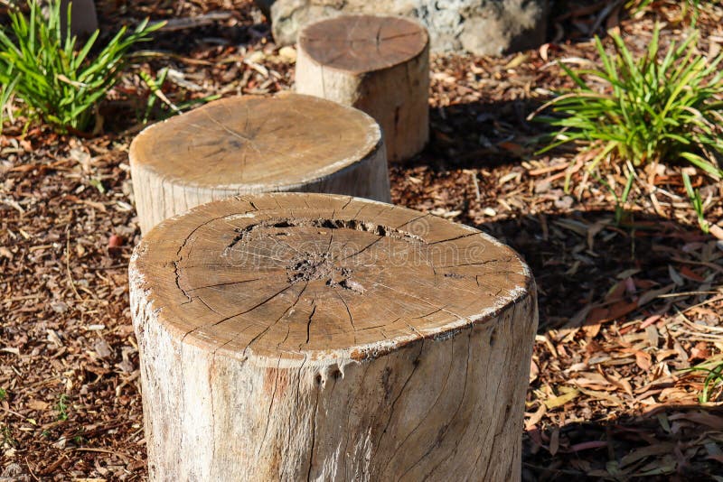 Cut Timber Log Stepping Stones in Landscaped Garde Stock Image - Image ...