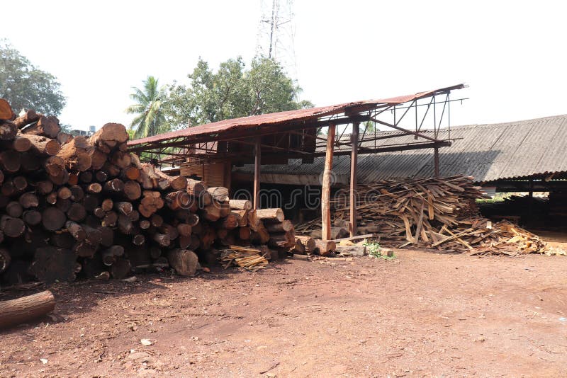 Cut Timber Stack - Stock Photo Stock Photo - Image of outdoors, dawn ...