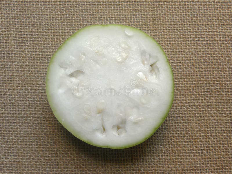 Cut Tinda squash stock photo. Image of juicy, dice, closeup - 186113364