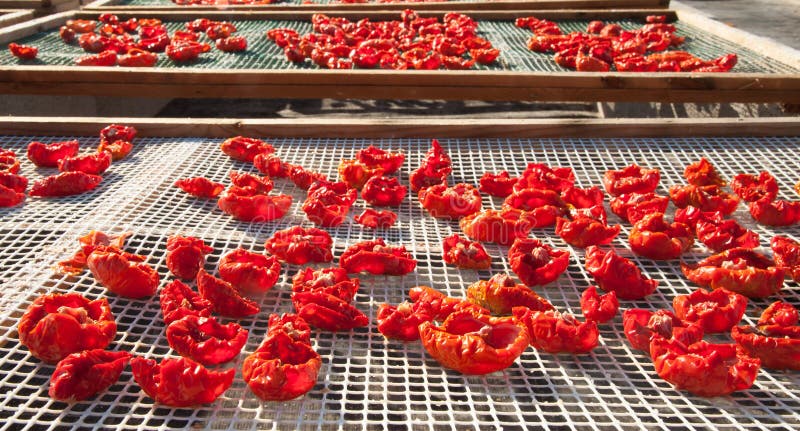 Sun-dried tomatoes stock photo. Image of color, piece - 213984882