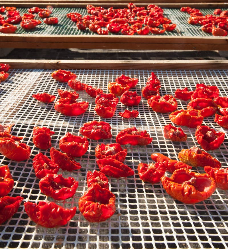 Sun-dried tomatoes stock photo. Image of food, drying - 213990658