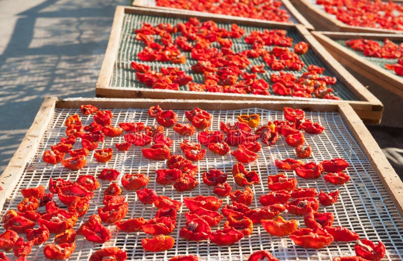 Sun-dried tomatoes stock photo. Image of food, drying - 213990662