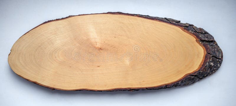 A Cut of a Tree with Age-old Rings on a White Isolate Stock Image ...