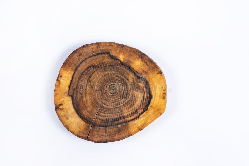 A Cut of a Tree. Annual Rings on Trees. Texture. on a White Background ...