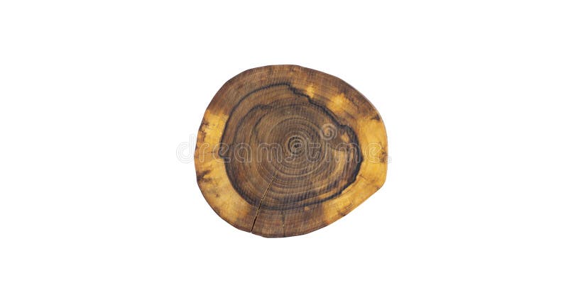 A Cut of a Tree. Annual Rings on Trees. Texture. on a White Background ...
