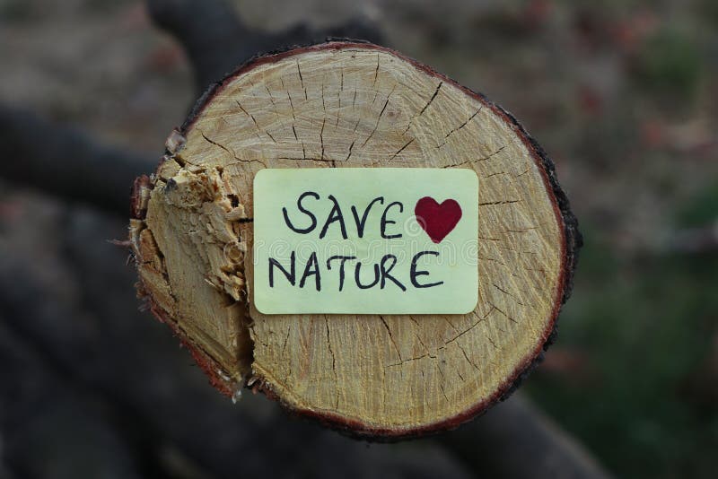 Cut Tree Branch with Sign Save Nature. Stock Photo - Image of dense ...
