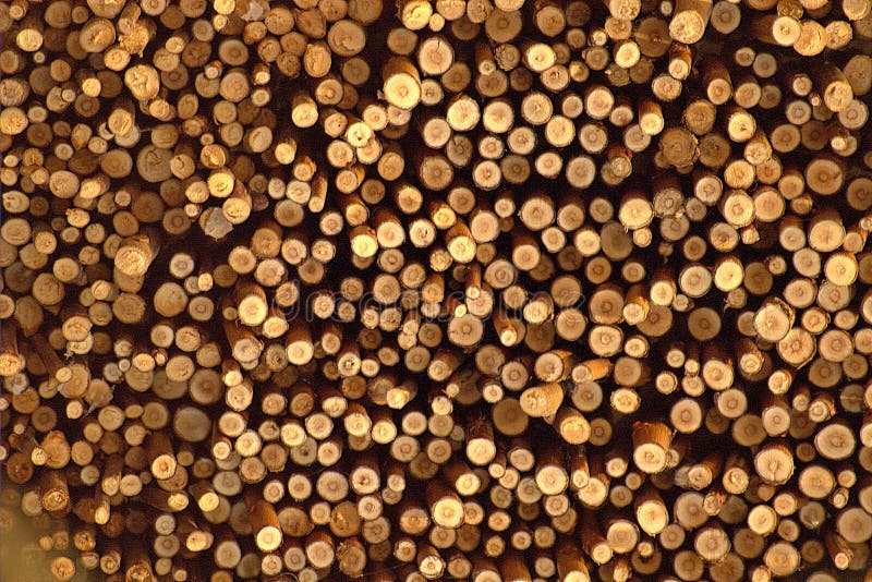 Cut Tree Branches Background Stock Photo - Image of texture, brown ...