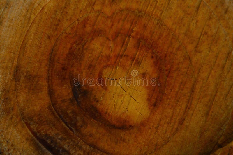 Cut of a Tree Close-up, Brown Background Stock Photo - Image of detail ...
