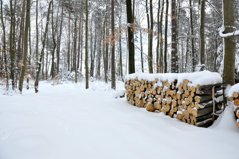 Cut tree covered with snow stock image. Image of industry - 28958425