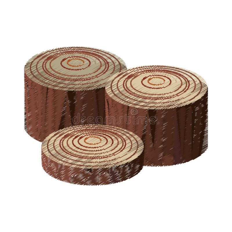 Cut tree isolated icon stock vector. Illustration of slice - 80776043