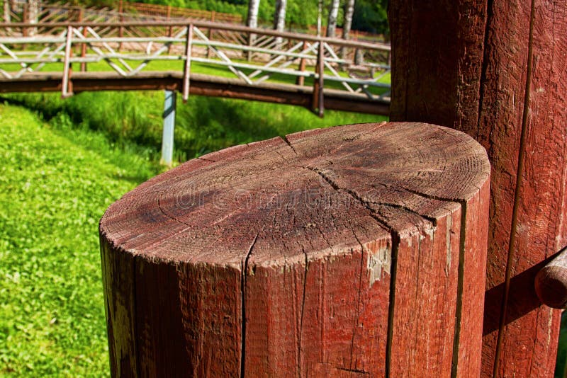Cut a Tree Painted with Brown Paint in the Sun Stock Photo - Image of ...