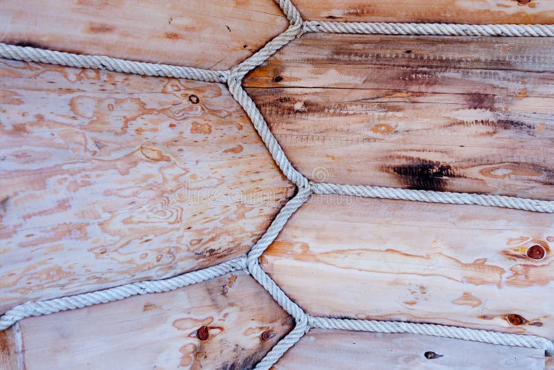 Cut of a tree structure stock photo. Image of history - 48278786