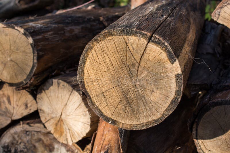 595 Plunk Background Stock Photos - Free & Royalty-Free Stock Photos ...