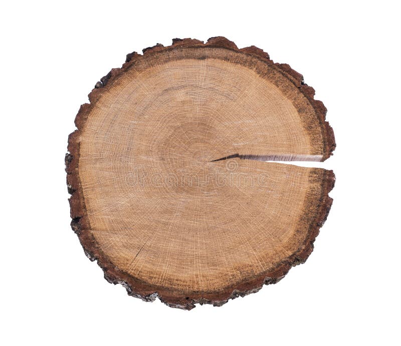 Tree Stump Round Cut with Annual Rings on Wooden Background. Top View ... Tree Stump Round Cut with Annual Rings on Wooden Background. Top View ...